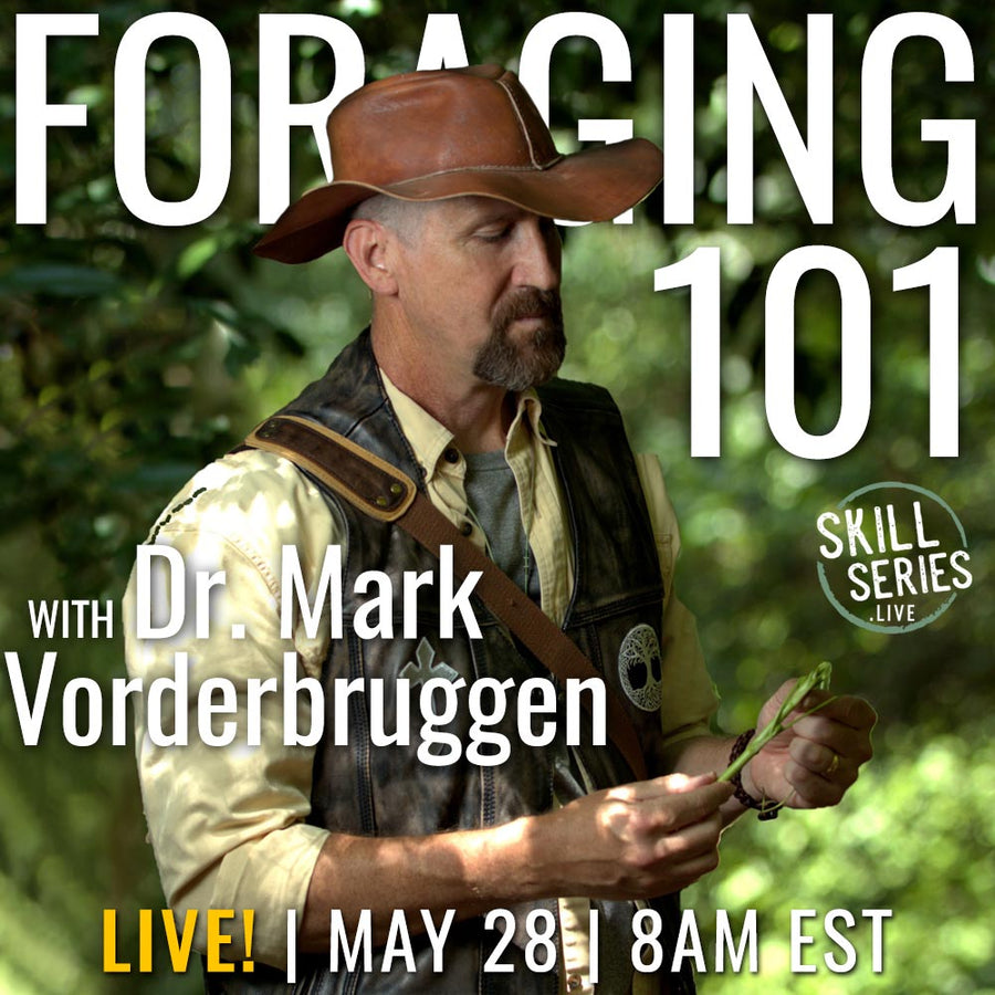 SKILL Series – Wazoo Gear